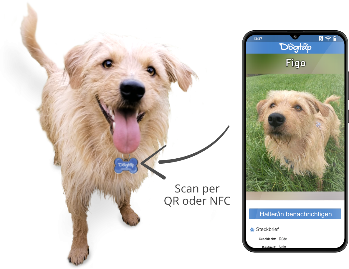 Dogtap - the digital dog id tag | Dogtap